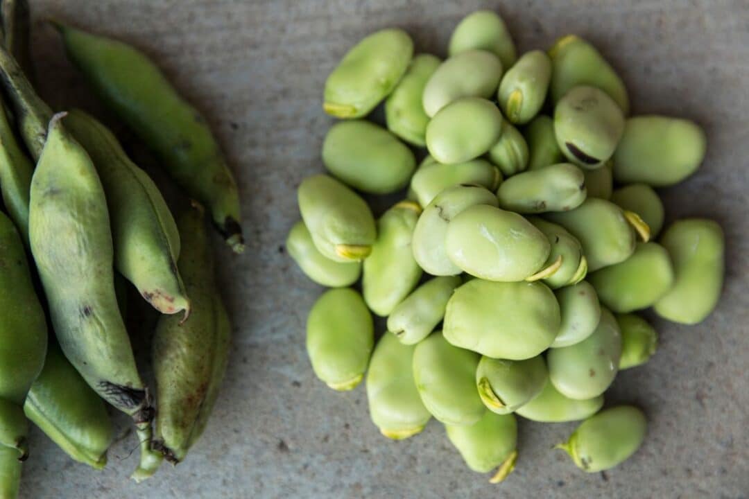 5 Substitutes for Lima Beans from a Chef - JackSlobodian